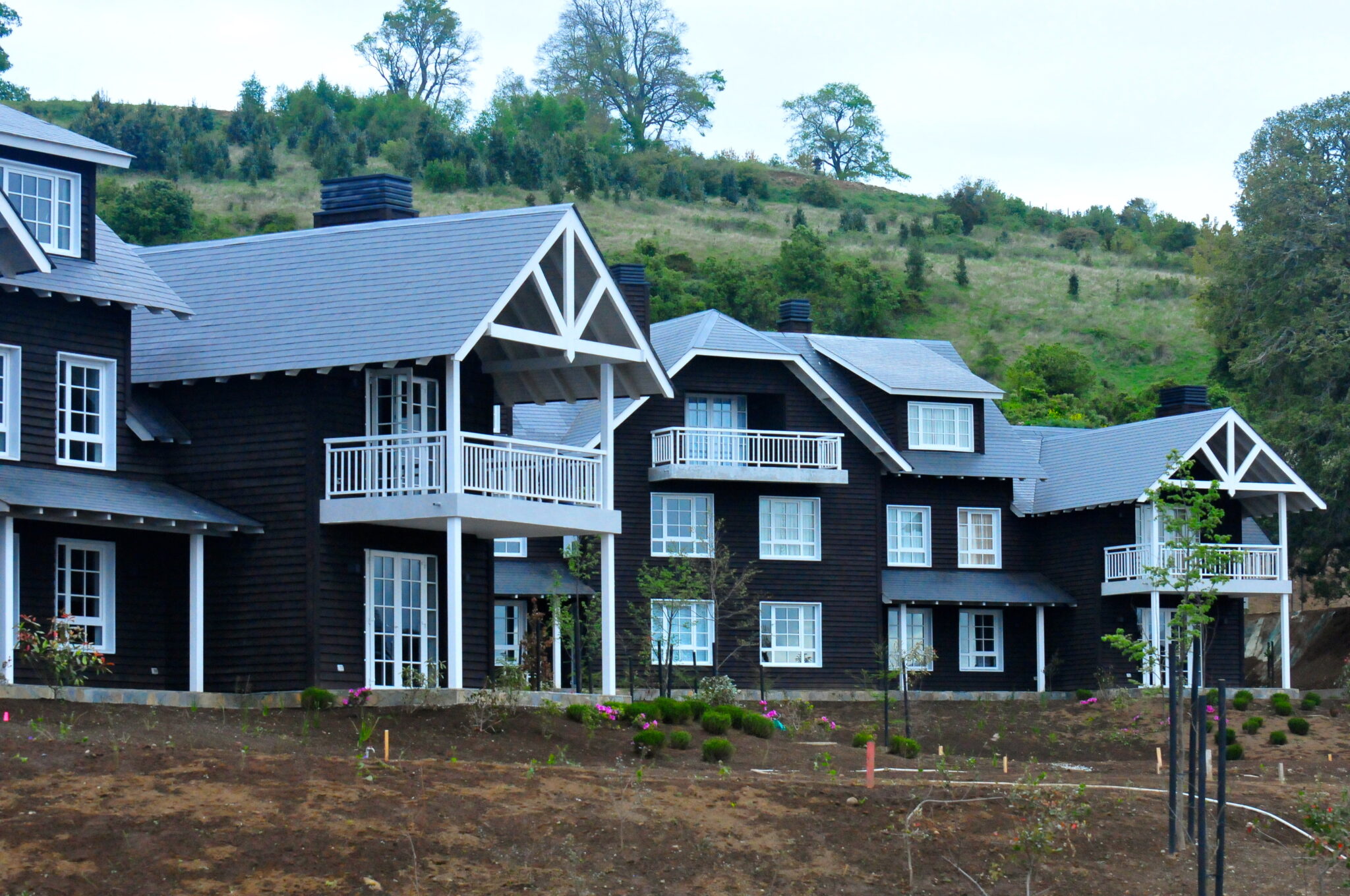 Patagonia Virgin – ABWB